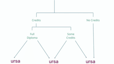 Parent-Directed Homeschool Resources | ursa home based education